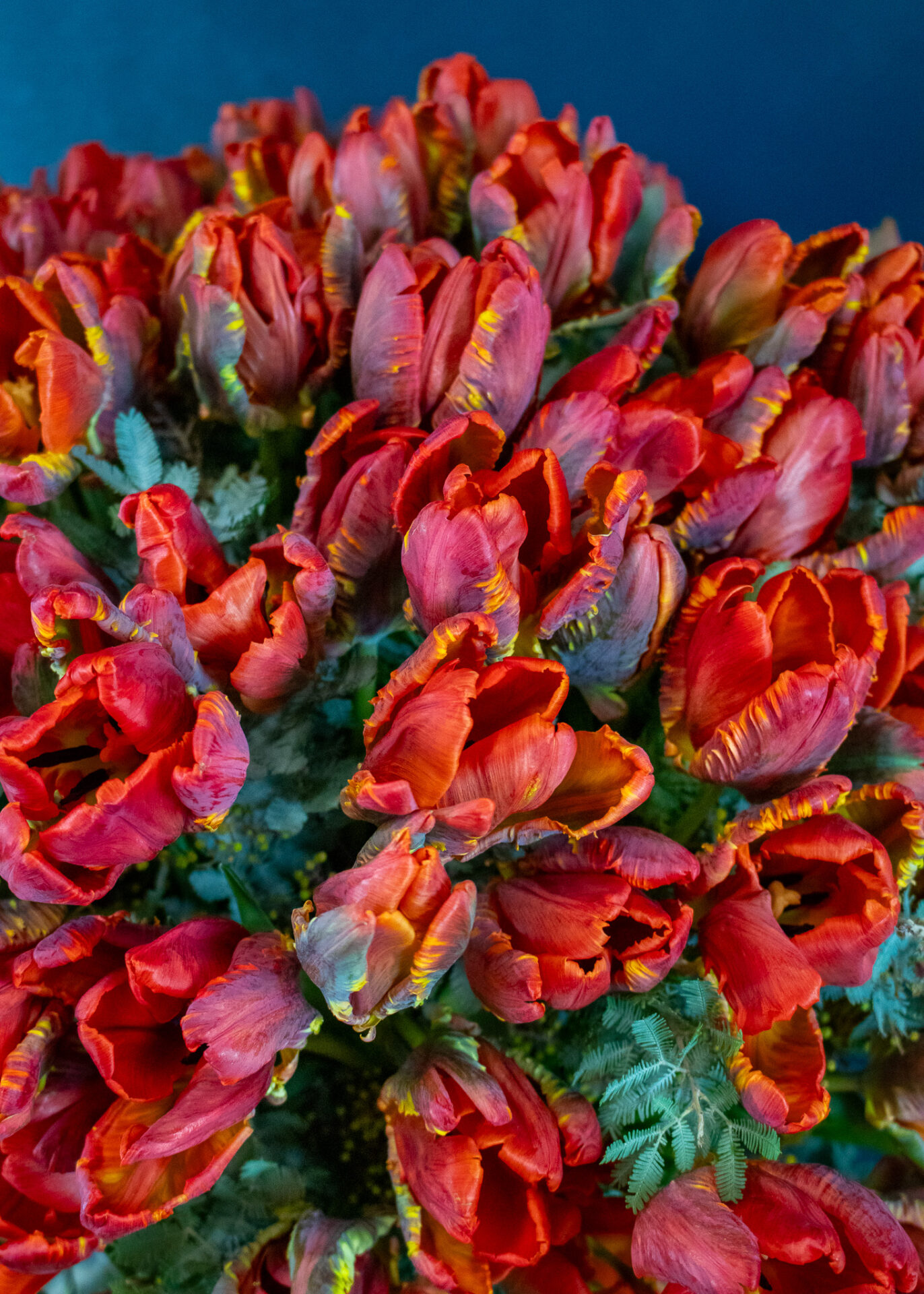 The Tulip Bouquet - Lavender Green Flowers